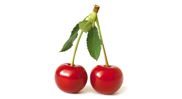 Ciliegia | infoSOStenibile